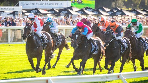 Horse Racing Live Stream & Minis - Watch Channel 7 Racing Coverage Free ...